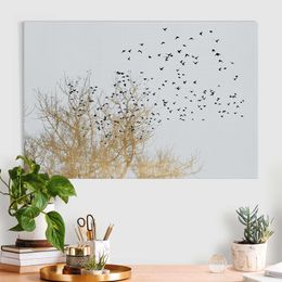 Bilderwelten Akustikbild | Wandbild schallabsorbierend - Vogelschwarm vor goldenem Baum