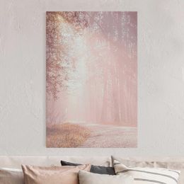 Bilderwelten Akustikbild | Wandbild schallabsorbierend - Morgensonne im Herbstwald