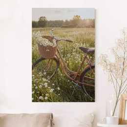 Bilderwelten Akustikbild | Wandbild schallabsorbierend - Fahrrad im Margeritenfeld