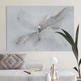Bilderwelten Akustikbild | Wandbild schallabsorbierend - Zarte Nebelbl&uuml;te auf Grau