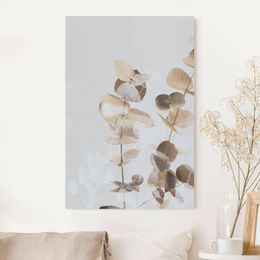 Bilderwelten Akustikbild | Wandbild schallabsorbierend - Goldene Eukalyptuszweige mit Wei&szlig; II