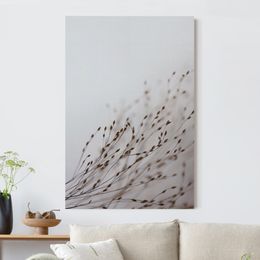 Bilderwelten Akustikbild | Wandbild schallabsorbierend - Zarte Gr&auml;ser im Windschatten