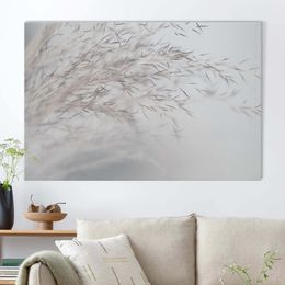 Bilderwelten Akustikbild | Wandbild schallabsorbierend - Wiesengras Close Up