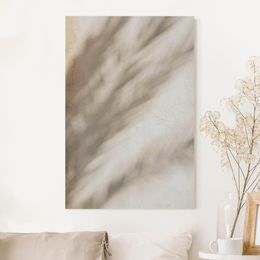 Bilderwelten Akustikbild | Wandbild schallabsorbierend - Schatten der Palmenbl&auml;tter