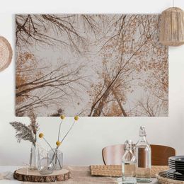 Bilderwelten Akustikbild | Wandbild schallabsorbierend - Herbstliche Baumkronen