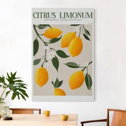 Bilderwelten Akustikbild | Wandbild schallabsorbierend - Citrus Limonum