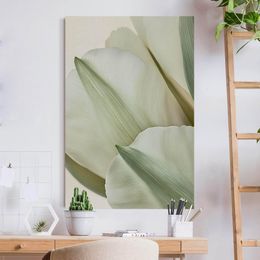 Bilderwelten Akustikbild | Wandbild schallabsorbierend - Zarte Tulpenbl&uuml;ten Gr&uuml;n