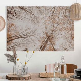 Bilderwelten Akustikbild | Wandbild schallabsorbierend - Herbstliche Baumkronen