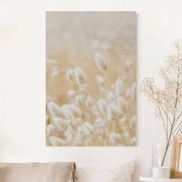 Bilderwelten Akustikbild | Wandbild schallabsorbierend - Zarte Gr&auml;ser