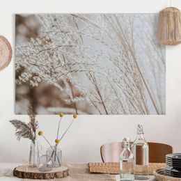 Bilderwelten Akustikbild | Wandbild schallabsorbierend - Pampasgras Close Up