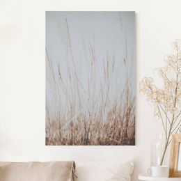 Bilderwelten Akustikbild | Wandbild schallabsorbierend - D&uuml;nengr&auml;ser