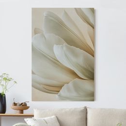 Bilderwelten Akustikbild | Wandbild schallabsorbierend - Zarte Tulpenbl&uuml;ten Ros&eacute;
