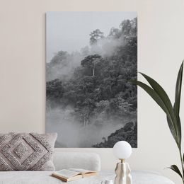 Bilderwelten Akustikbild | Wandbild schallabsorbierend - Dschungel im Nebel Schwarz Wei&szlig;