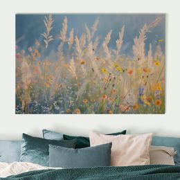 Bilderwelten Akustikbild Traumhafte Bergblumenwiese