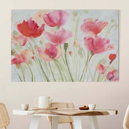 Bilderwelten Akustikbild Mohnblumen im Sommerwind