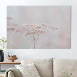 Bilderwelten Akustikbild | Wandbild schallabsorbierend - Zartrosane Wildblumen