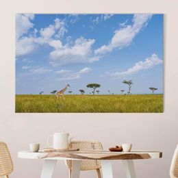 Bilderwelten Akustikbild | Wandbild schallabsorbierend - Kenia Giraffe in Savannenlandschaft