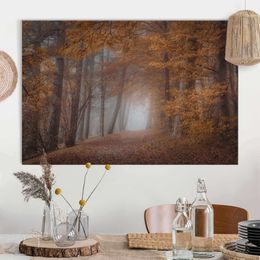 Bilderwelten Akustikbild | Wandbild schallabsorbierend - Weg im m&auml;rchenhaften Herbstwald