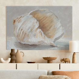 Bilderwelten Akustikbild | Wandbild schallabsorbierend - Muschel-Studie IV