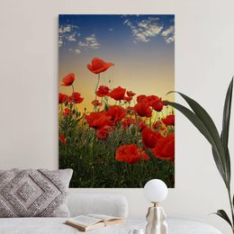 Bilderwelten Akustikbild | Wandbild schallabsorbierend - Mohnblumenfeld im Sonnenuntergang