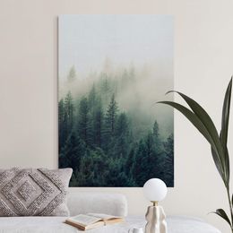 Bilderwelten Akustikbild | Wandbild schallabsorbierend - Wald im Nebel Erwachen