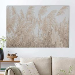 Bilderwelten Akustikbild | Wandbild schallabsorbierend - Wildes Pampasgras Beige