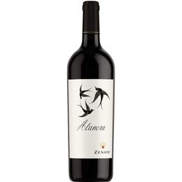 Zenato Azienda Vitivinicola Alanera Appassimento 2021 Trocken - Venetien &ndash; Rotwein IGP