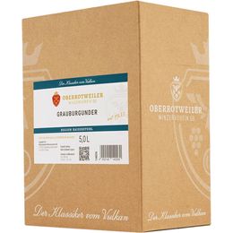 Oberrotweiler Winzerverein , Bag-in-Box, 5 L, Region Kaiserstuhl, Baden 5,0 L Grauburgunder 2025 Trocken - &ndash; Wei&szlig;wein Qualit&auml;tswein