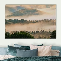 Bilderwelten Akustikbild | Wandbild schallabsorbierend - Bayrischer Wald im Nebel