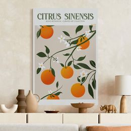 Bilderwelten Akustikbild | Wandbild schallabsorbierend - Citrus Sinensis