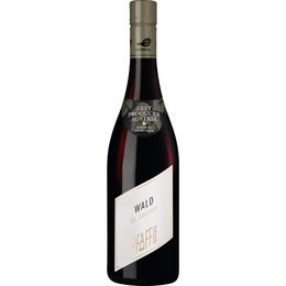 Pfaffl Wald St. Laurent Saint 2025 Trocken - Nieder&ouml;sterreich &ndash; Rotwein Qualit&auml;tswein