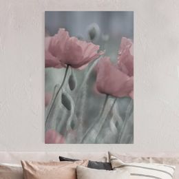 Bilderwelten Akustikbild | Wandbild schallabsorbierend - Malerische Mohnblumen