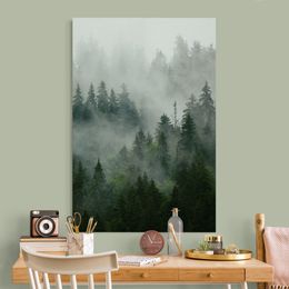 Akustikbild Tiefgr&uuml;ner Tannenwald im Nebel