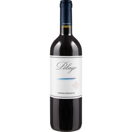 Umani Ronchi Pelago Rosso 2019 Trocken - Marken &ndash; Rotwein IGP
