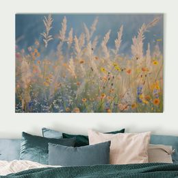 Bilderwelten Akustikbild Traumhafte Bergblumenwiese