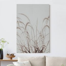 Bilderwelten Akustikbild | Wandbild schallabsorbierend - Elegante Gr&auml;ser