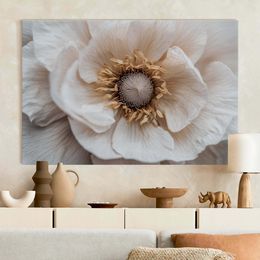 Bilderwelten Akustikbild | Wandbild schallabsorbierend - Beige Pfingstrose Nahaufnahme