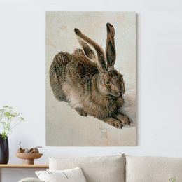 Bilderwelten Akustikbild | Wandbild schallabsorbierend - Albrecht D&uuml;rer - Junger Feldhase