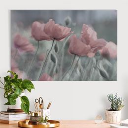 Bilderwelten Akustikbild Malerische Mohnblumen
