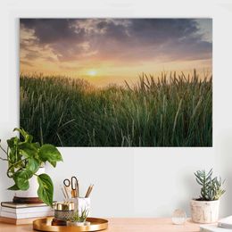 Bilderwelten Akustikbild | Wandbild schallabsorbierend - Langeoog Graslandschaft bei Sonnenuntergang