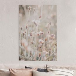 Bilderwelten Akustikbild | Wandbild schallabsorbierend - Strahlende Blumenwiese