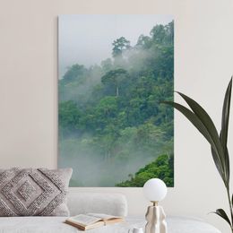 Bilderwelten Akustikbild | Wandbild schallabsorbierend - Dschungel im Nebel