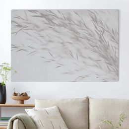 Bilderwelten Akustikbild | Wandbild schallabsorbierend - Bezauberndes Wiesengras