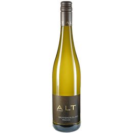 Weingut Alt Sauvignon Blanc 2025 Trocken - Monzinger Fr&uuml;hlingspl&auml;tzchen Nahe &ndash; Wei&szlig;wein Qualit&auml;tswein