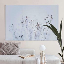 Bilderwelten Akustikbild | Wandbild schallabsorbierend - Zartblaue Wildblumen
