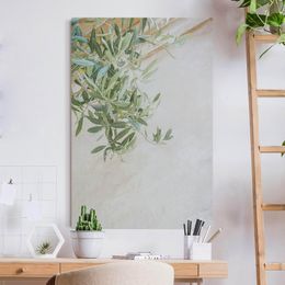 Bilderwelten Akustikbild | Wandbild schallabsorbierend - Olivenbaumzweige