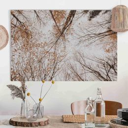 Bilderwelten Akustikbild | Wandbild schallabsorbierend - Baumkronen im Herbst