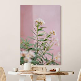 Bilderwelten Akustikbild | Wandbild schallabsorbierend - Sanfte Bl&uuml;ten vor Pink