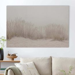 Bilderwelten Akustikbild | Wandbild schallabsorbierend - D&uuml;nengras in Beige