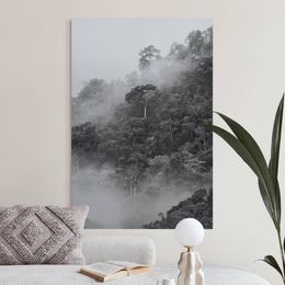 Bilderwelten Akustikbild | Wandbild schallabsorbierend - Dschungel im Nebel Schwarz Wei&szlig;